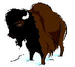 Not sure how to form plurals? Read this!