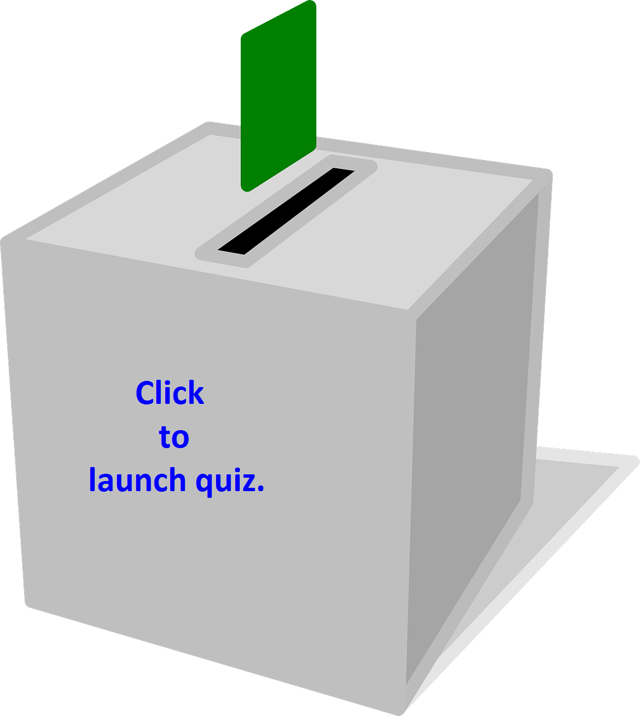 Cast Your Votes for the Correct Answers in Our Proofreading Quiz